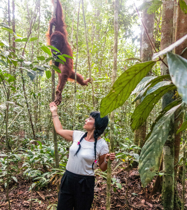 Dove vedere gli oranghi: tour nel Borneo in Indonesia - Marameo Travels